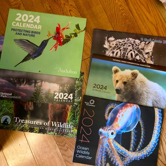 Office | 224 Wildlife And Outdoors Calendar Set Of 5 | Poshmark